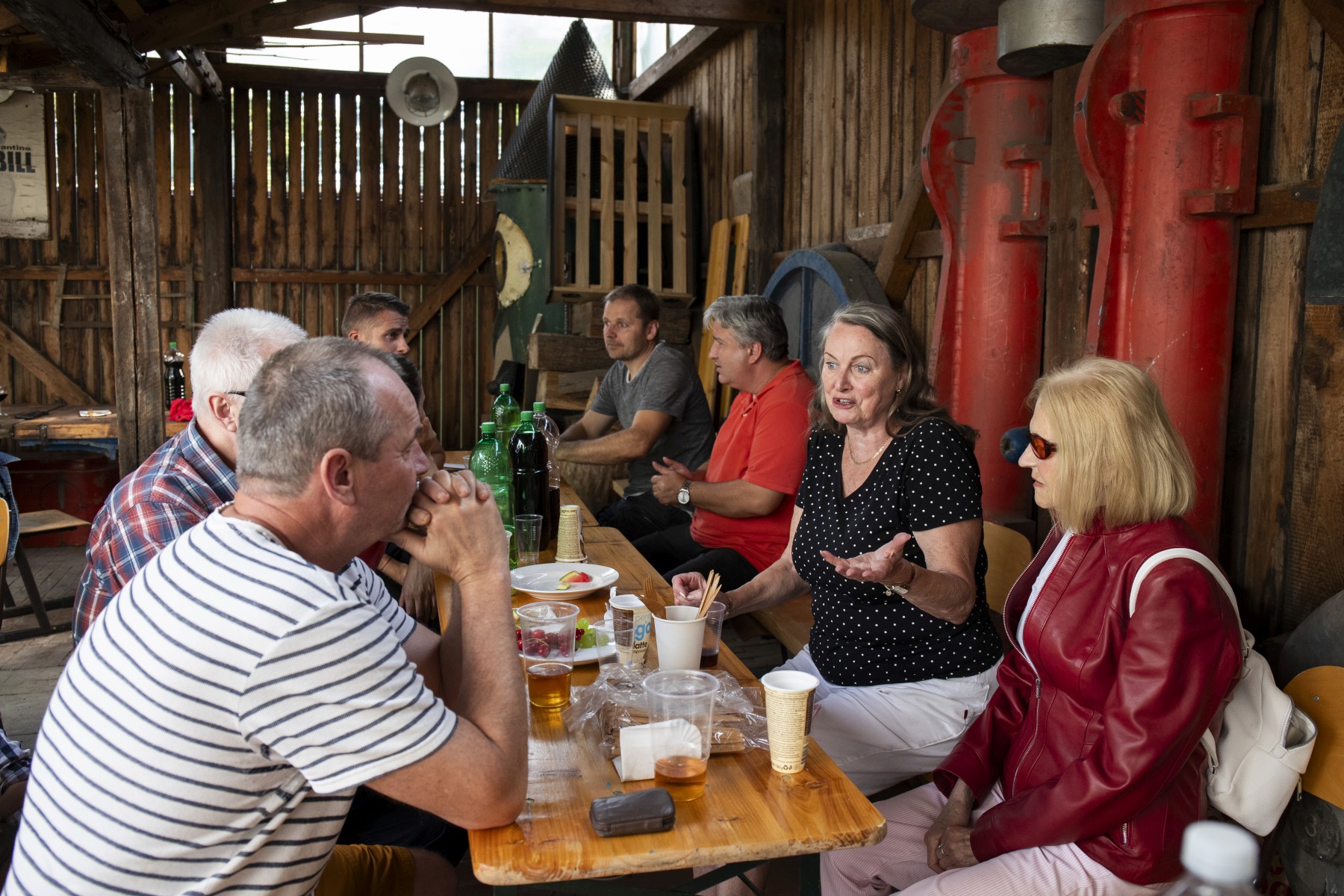 Aktuality | Hollarka.cz